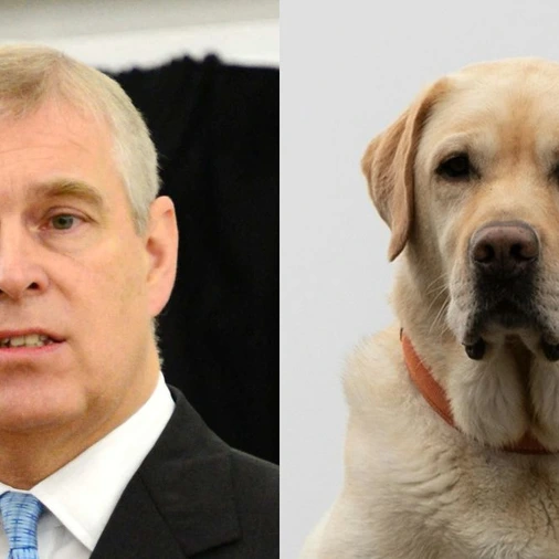 Jeffrey Epstein found the former Prince Andrew to be 'very helpful'