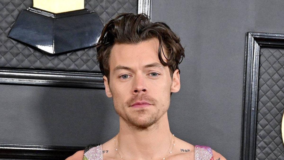 Harry Styles and Zoë Kravitz planning two weddings